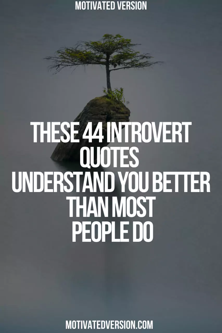 These 44 Introvert Quotes Understand You Better Than Most People Do