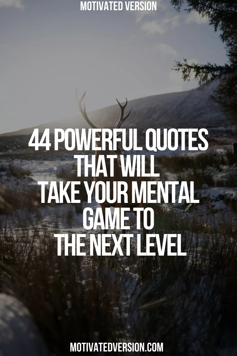 44 Powerful Quotes That Will Take Your Mental Game to the Next Level
